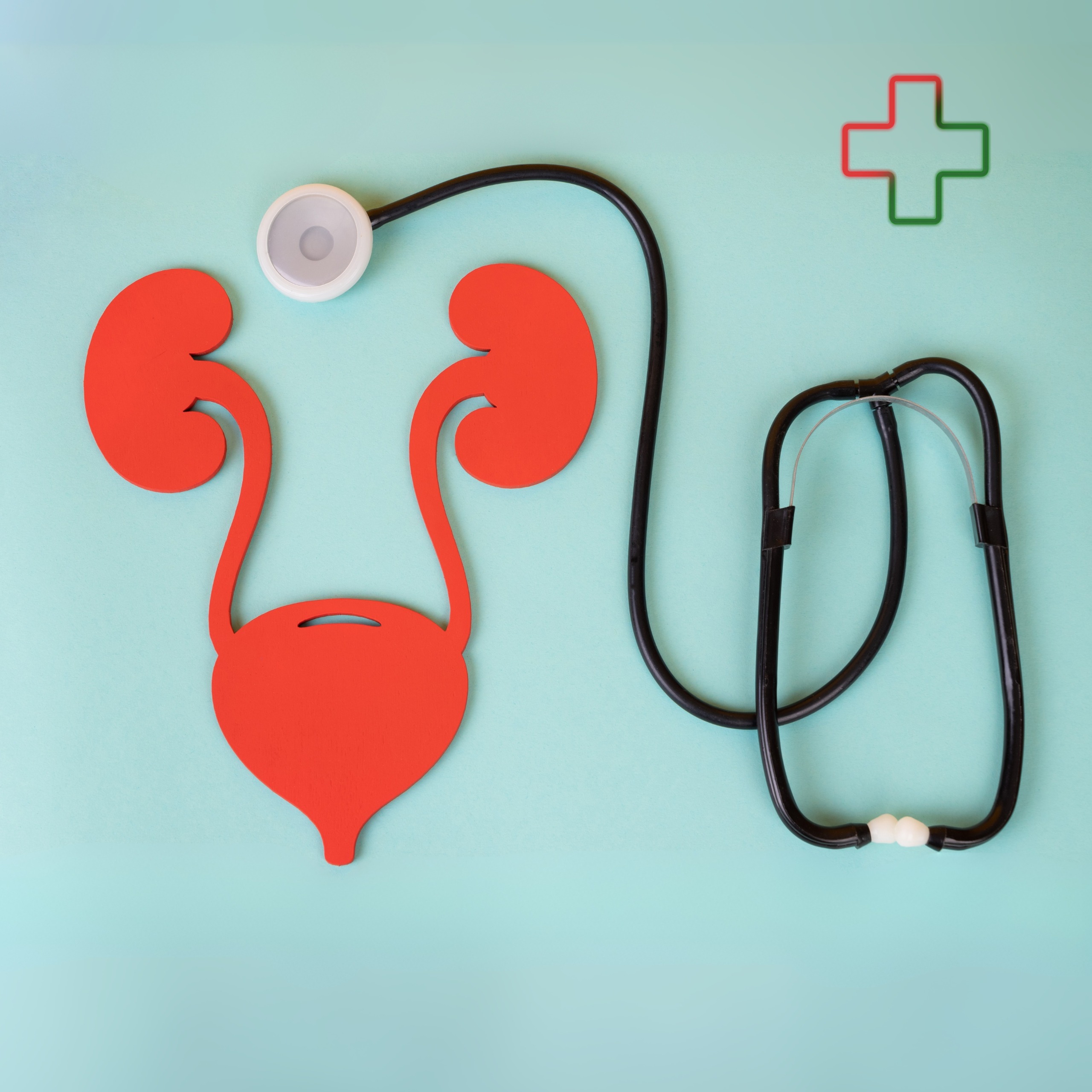 SCREENING UROLOGY ESSENTIAL